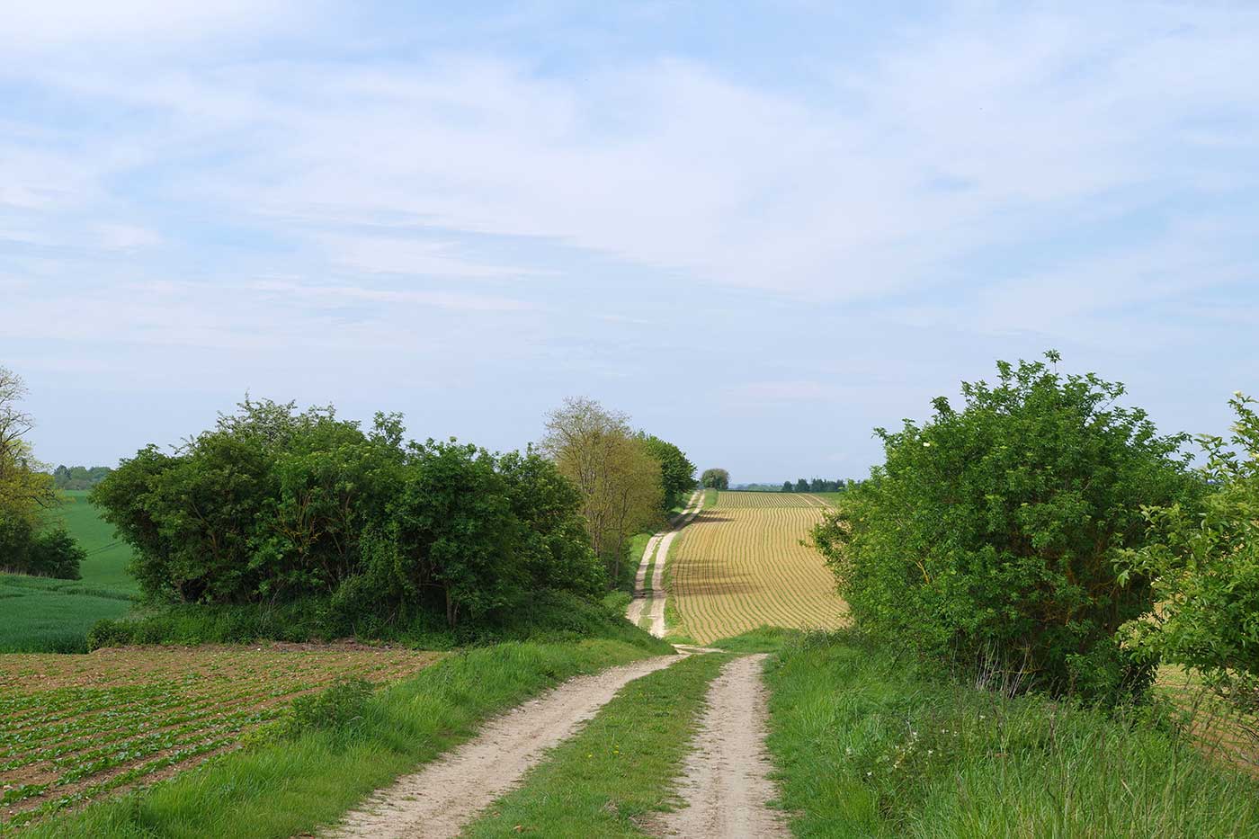 Randonnée de la chaussée Brunehaut – Aquilon Découverte